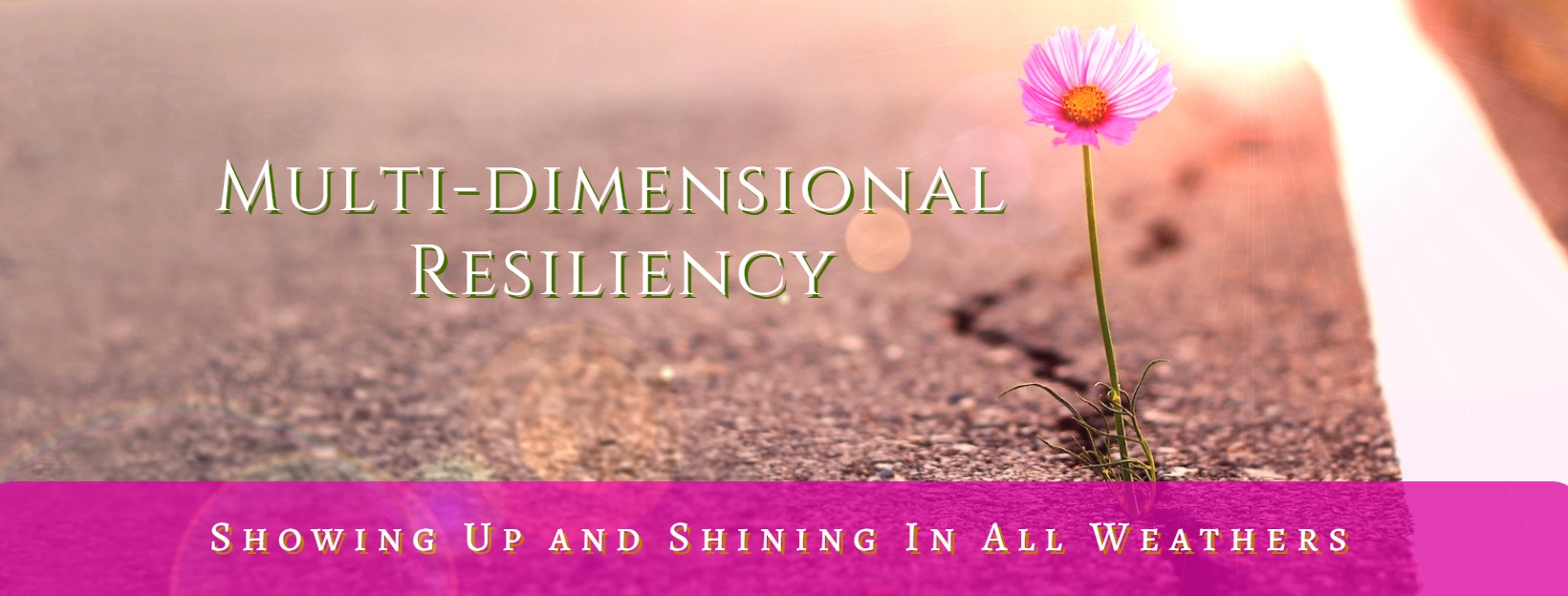 Multi Dimensional Resiliency - Calista Ascension